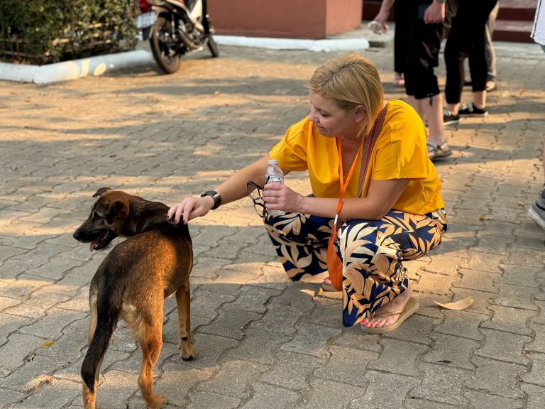 Charity Work | Mayow Veterinary Surgery