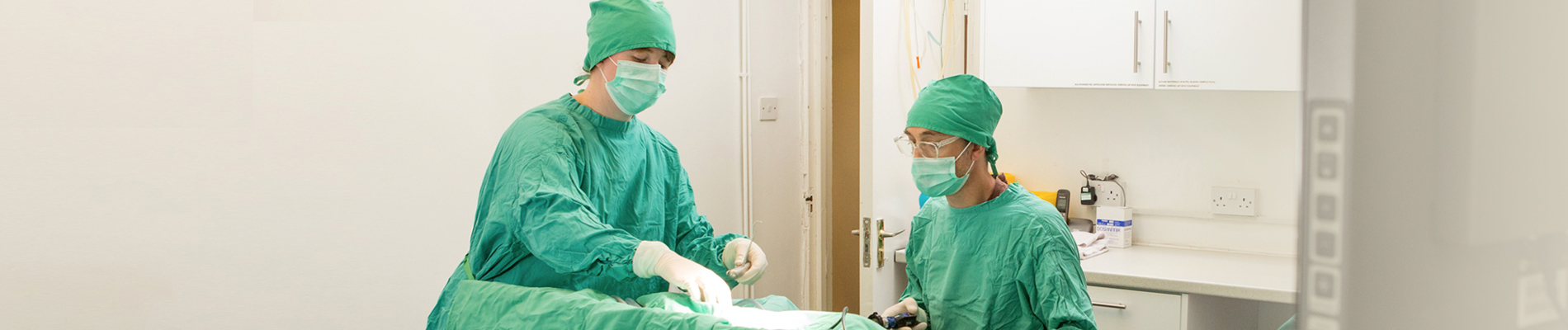 Mayow Veterinary Surgery Home - Mayow Veterinary Surgery